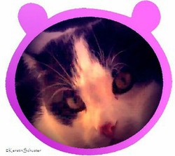 Hello Kitty - die Kult Katze aus Japan