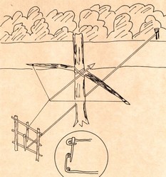 Survival-Techniken, Nahrung, Überleben