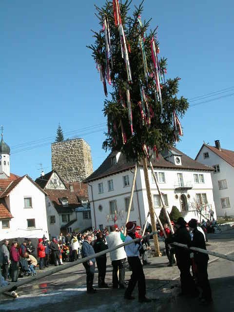 Der Narrenbaum - Fasnet und Machtsymbolik