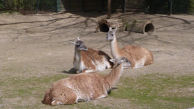 Zoo Dortmund - Ausflugsziel für Groß und Klein