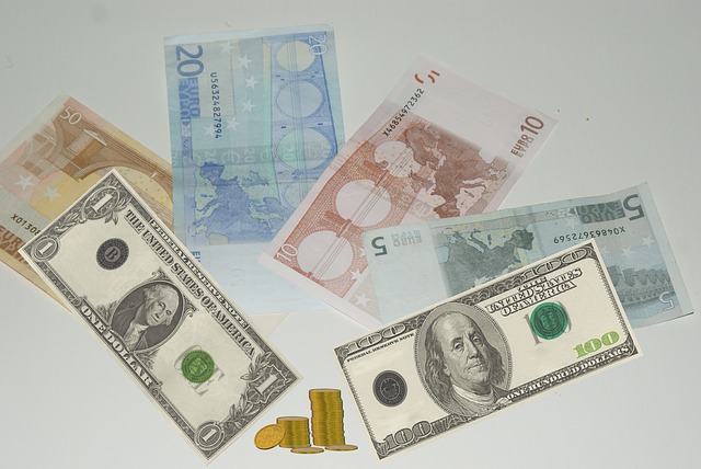 Das Geld – Geschichte, Funktion und Risiken